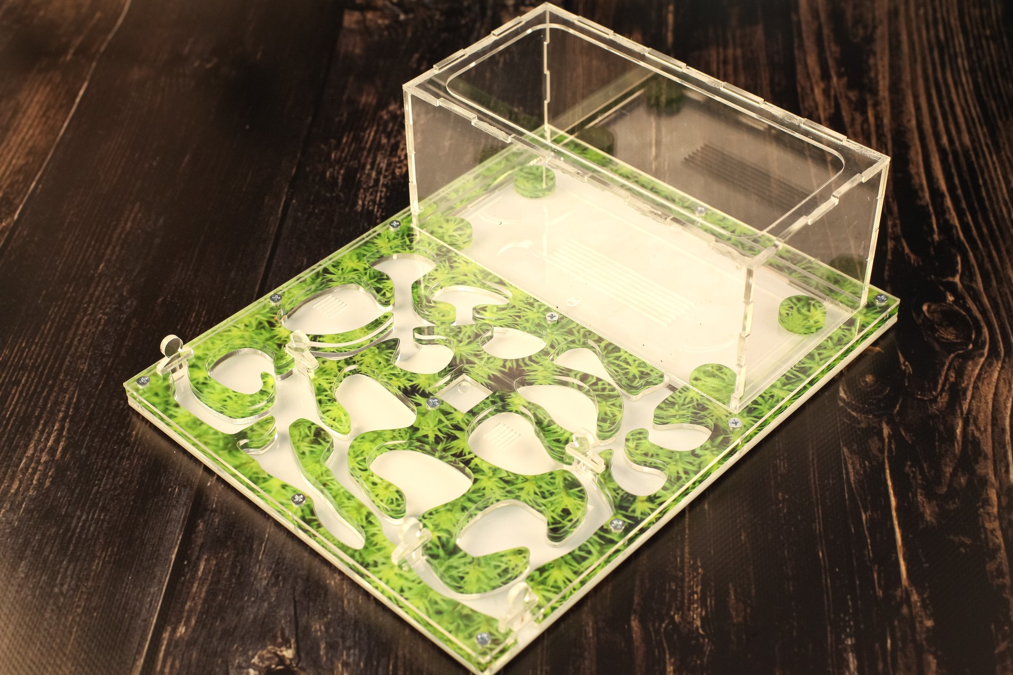 Ant farm, designer ants farm, perfect home for ants, custom ant farm ...